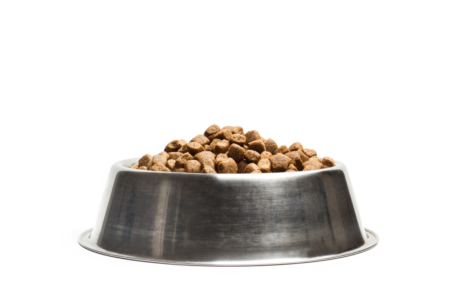 In The Know: Pets – The NCP Blog
