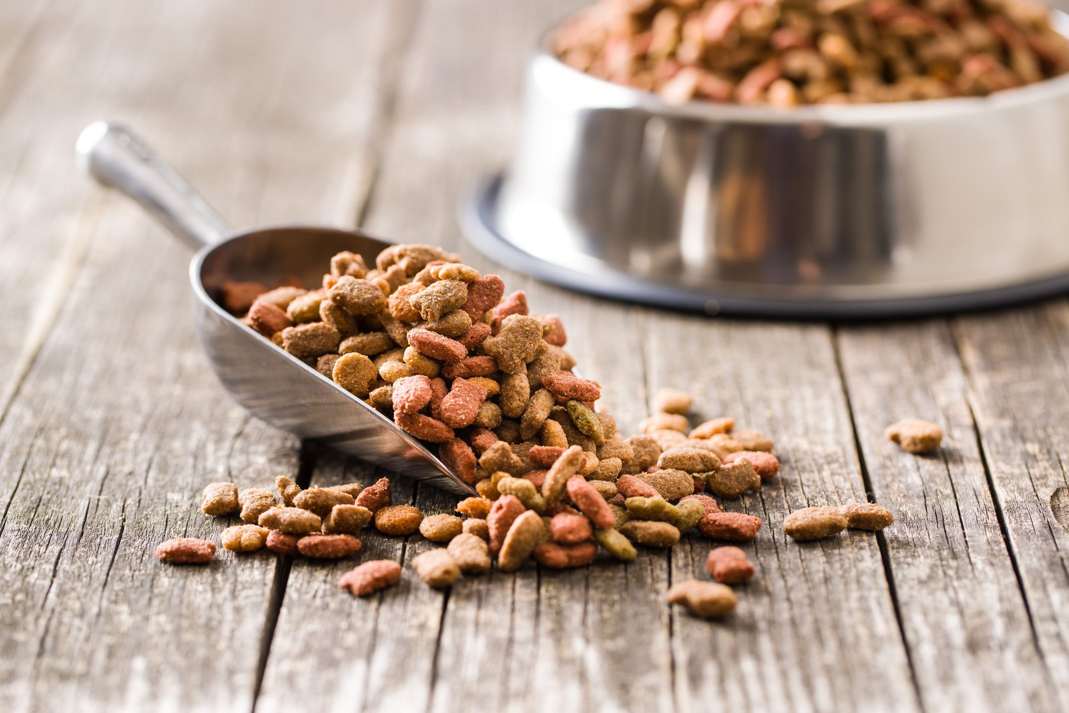 Pet Food Trends – The NCP Blog
