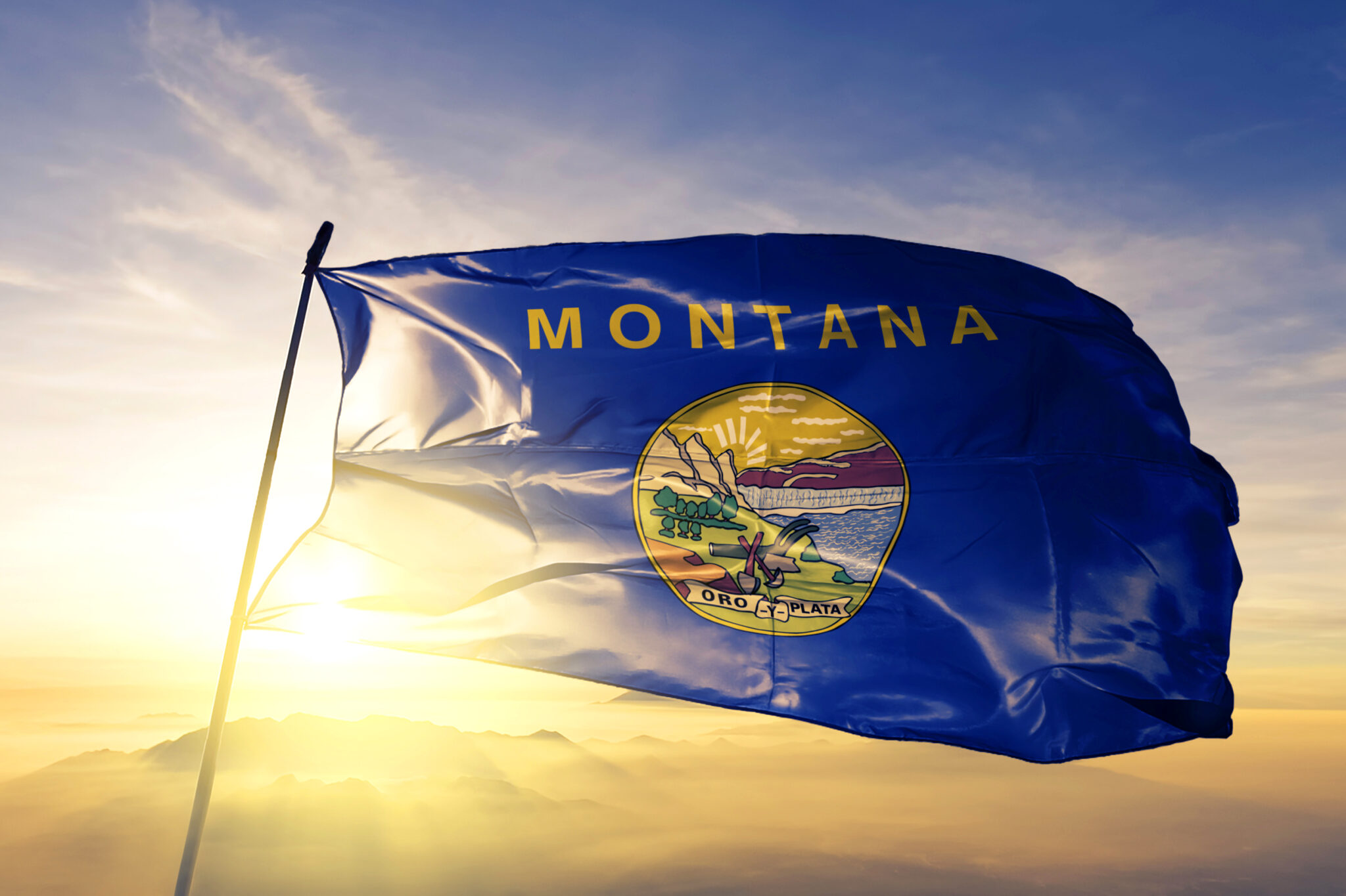 NCP Spotlight: Panel Members in Montana – The NCP Blog